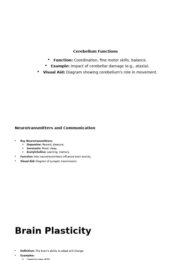 Brain Works Part2 | PDF