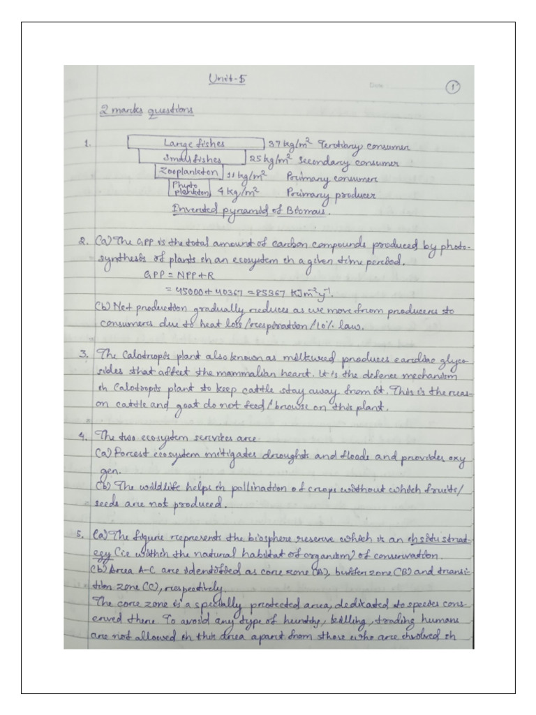 Answers of Unit 5 Questions | PDF
