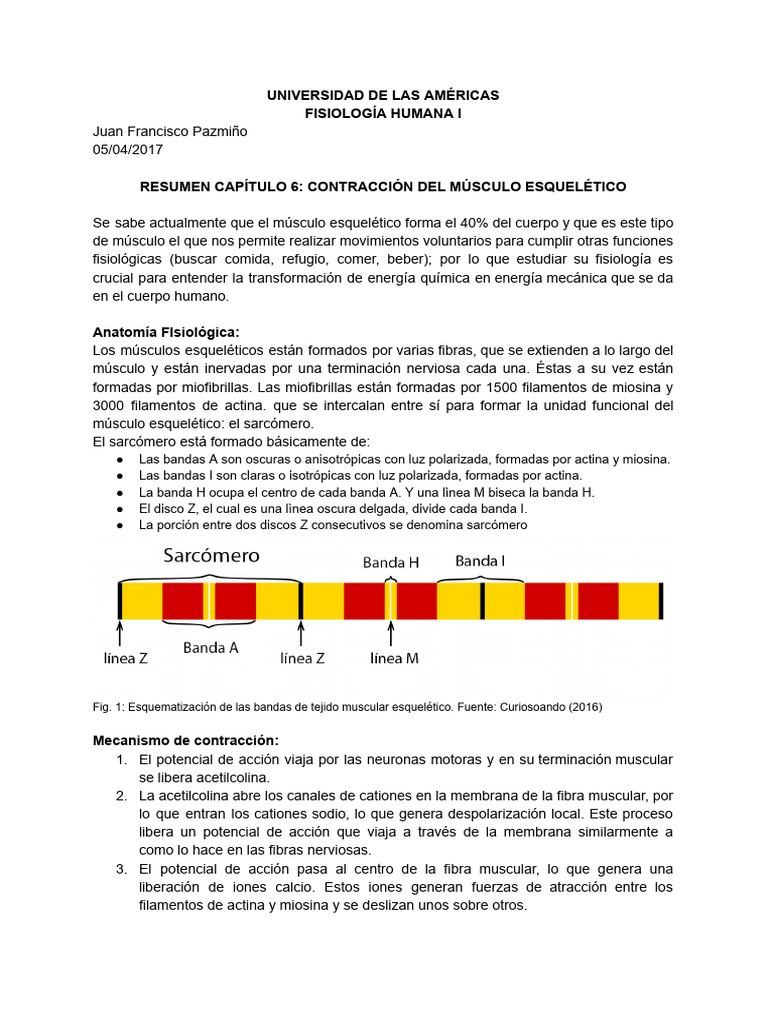 Resumen CAP 6 GUYTON | PDF