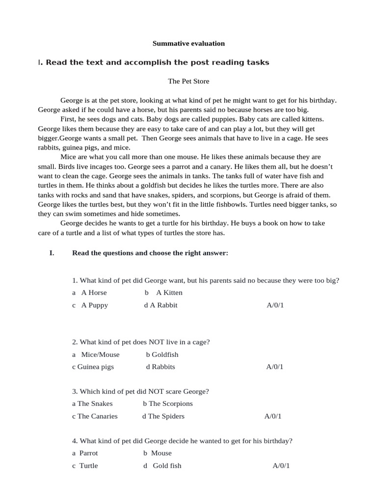 Summative Evaluation | PDF