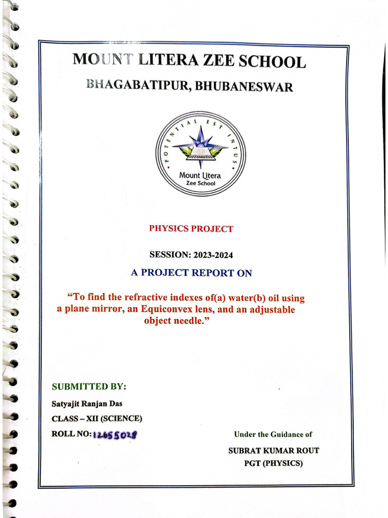 Project Sample | PDF