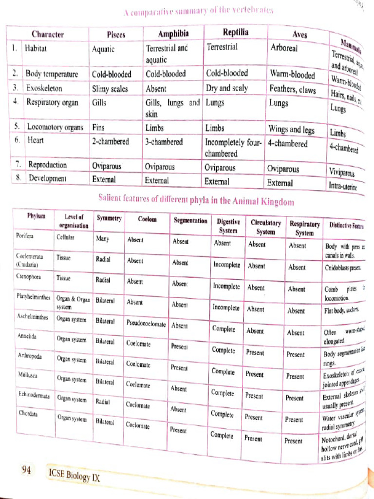 Chapter at A Glance of Five Kingdom Classification | PDF