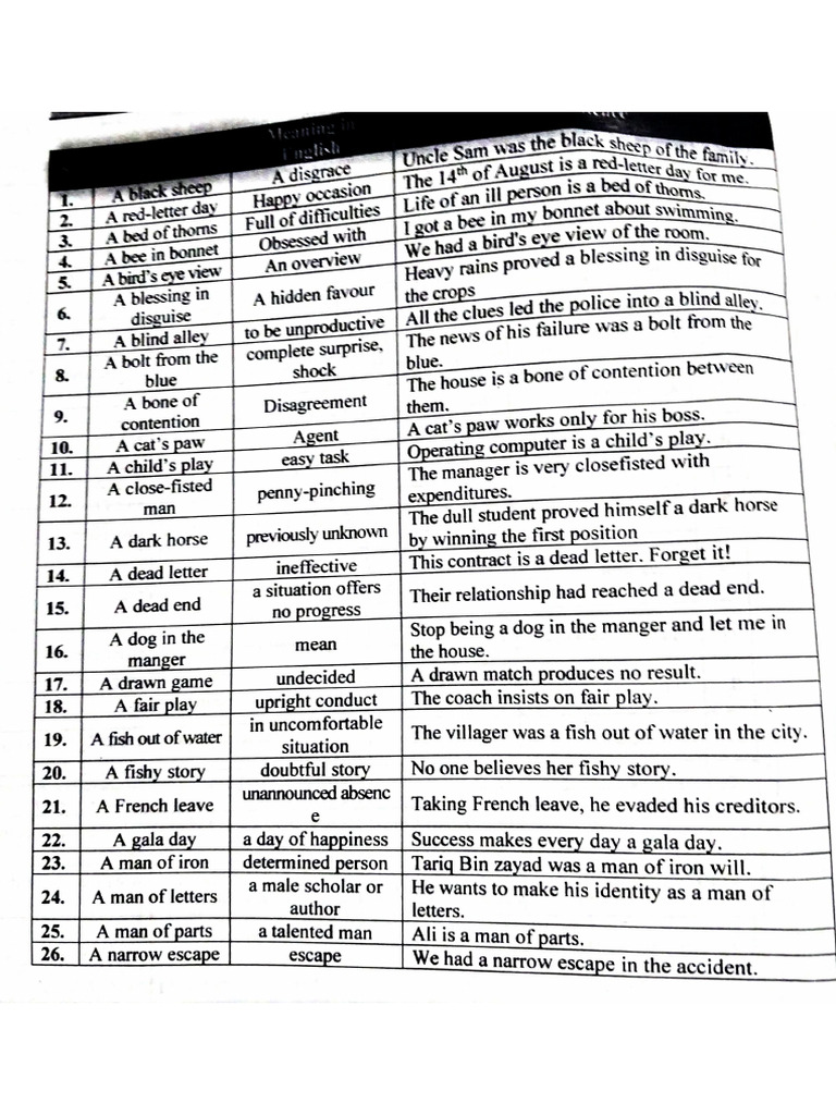 Idioms For 2nd Year | PDF