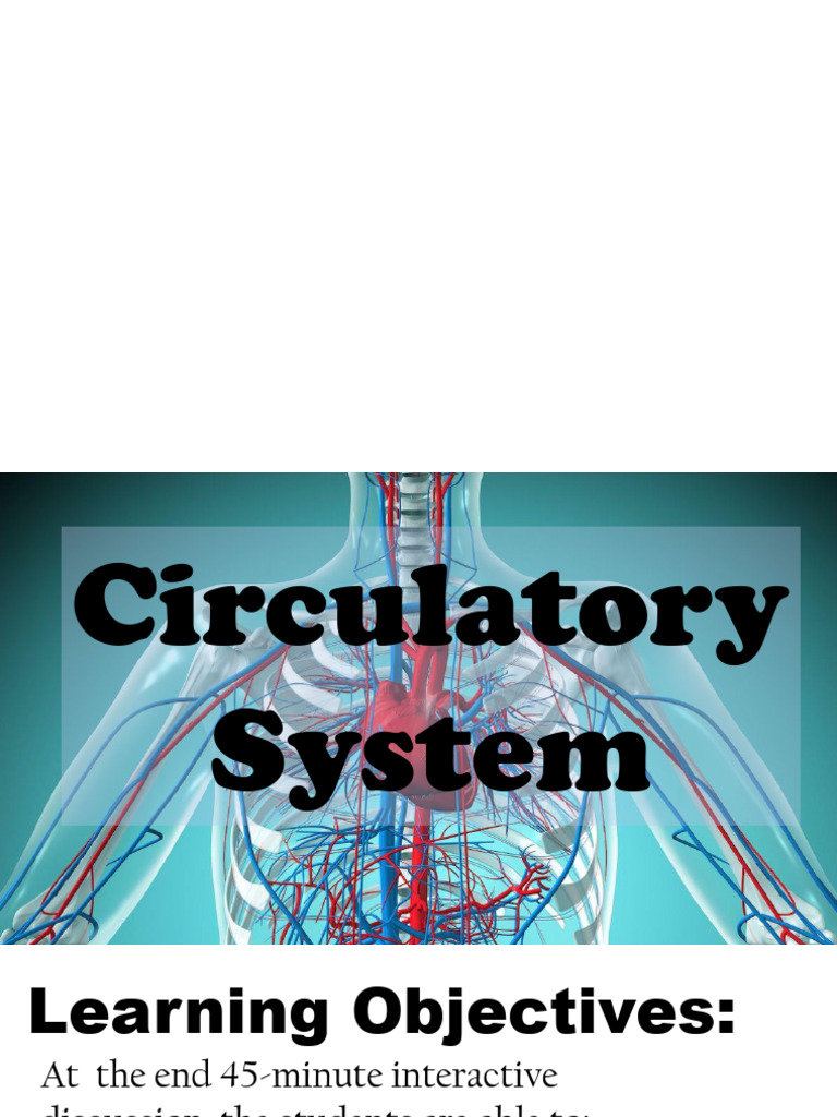 Circulatory System | PDF