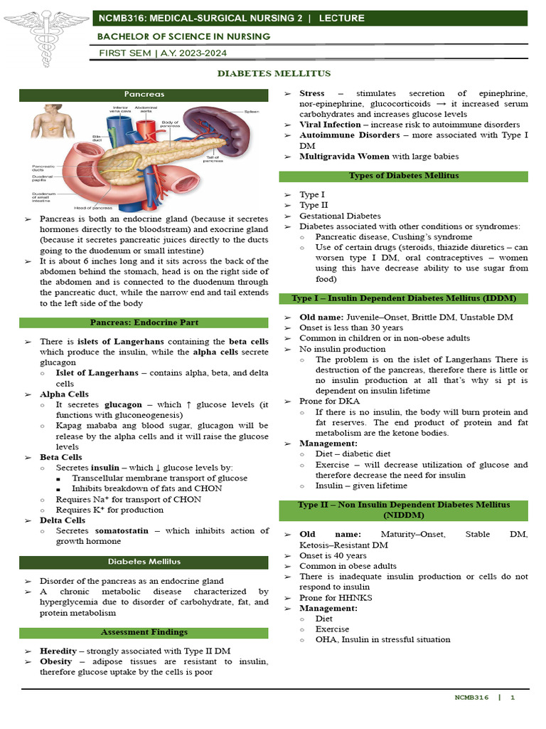 MEDSURG Complete Summary Notes | PDF