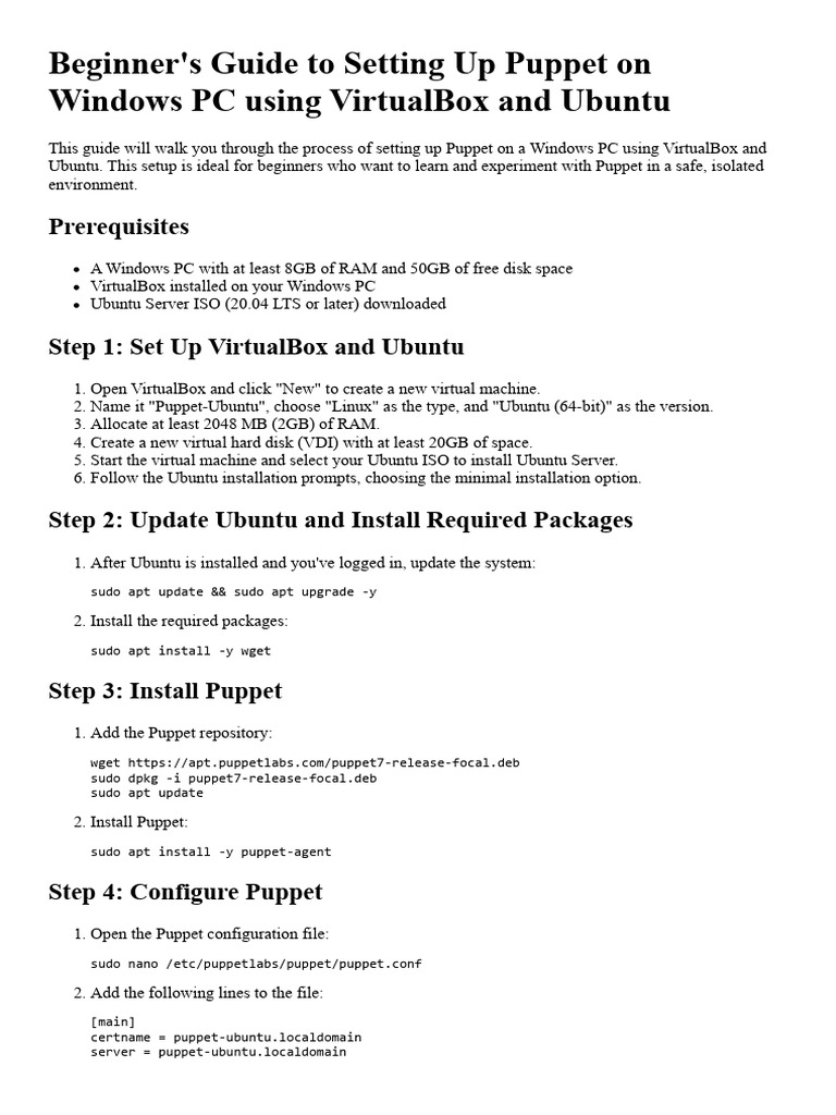 Puppet Setup | PDF