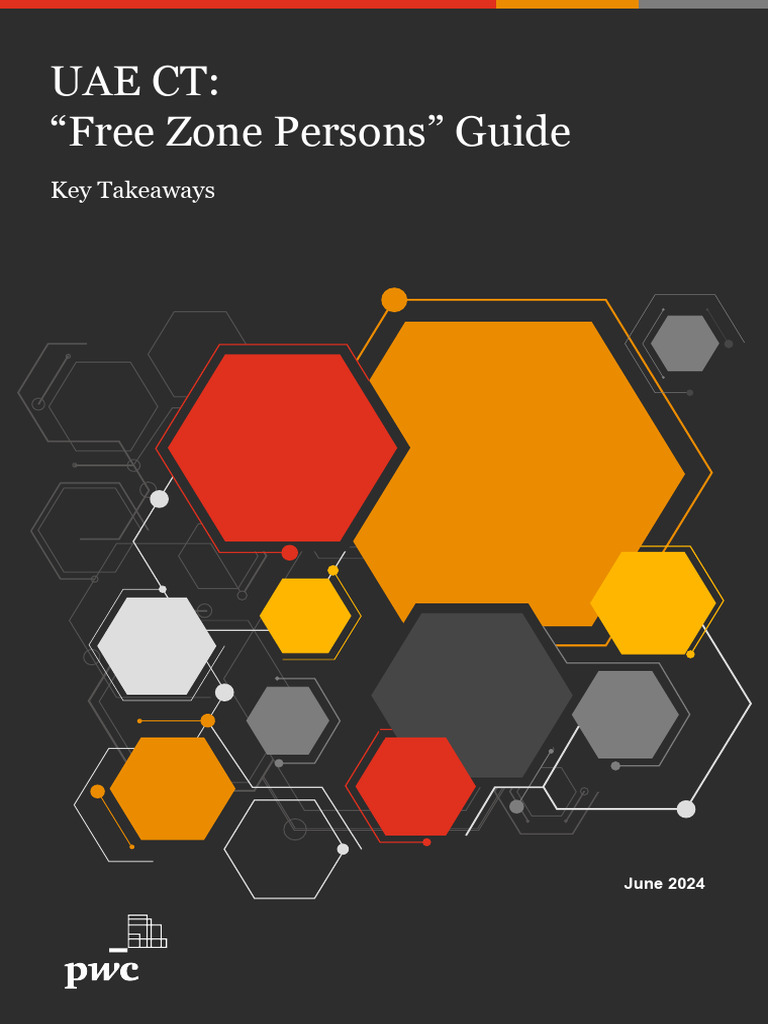 UAE CT Free Zone Persons Guide 1717860316 | PDF