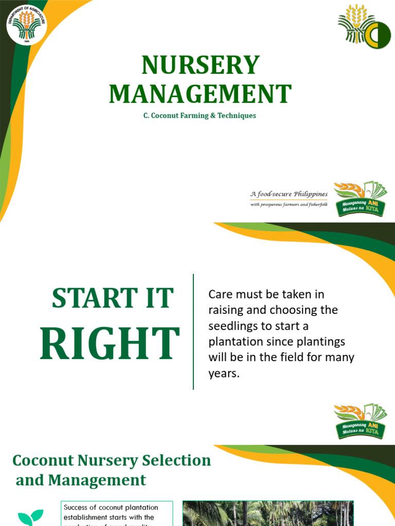C2. Nursery Management | PDF
