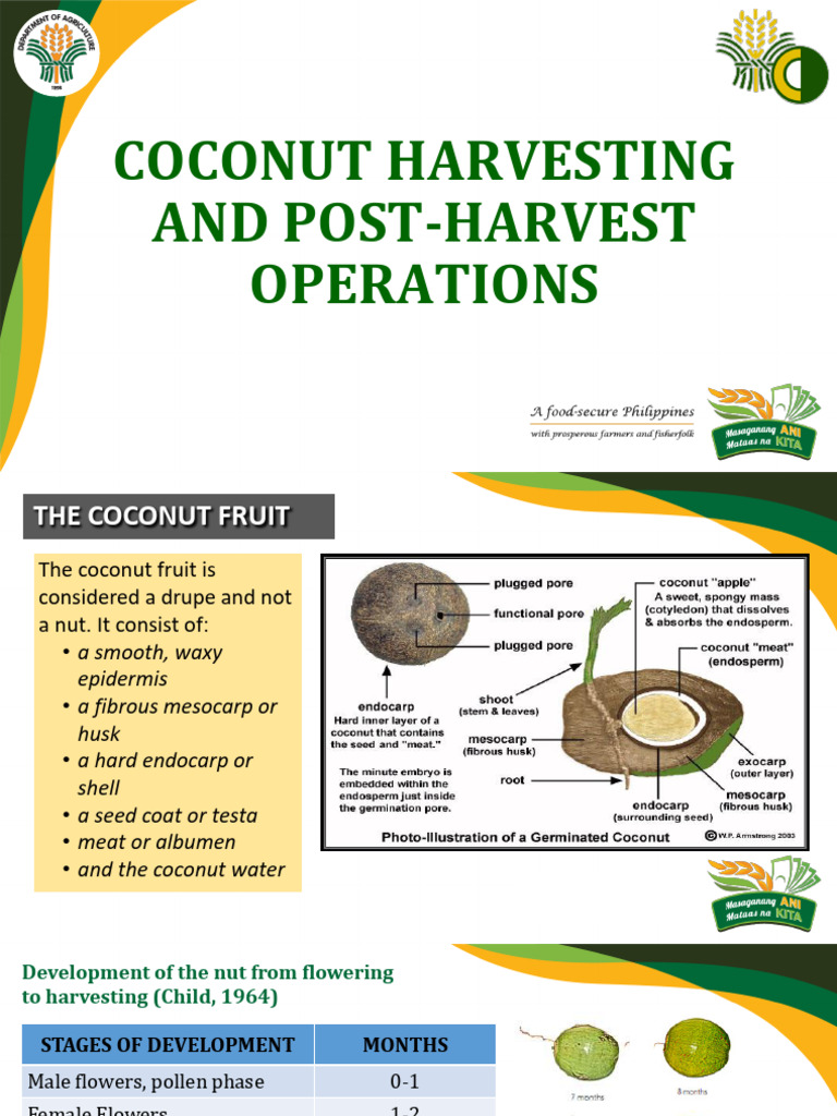 E._Coconut_Harvesting_and_Post-Harvest_Operations[1] | PDF