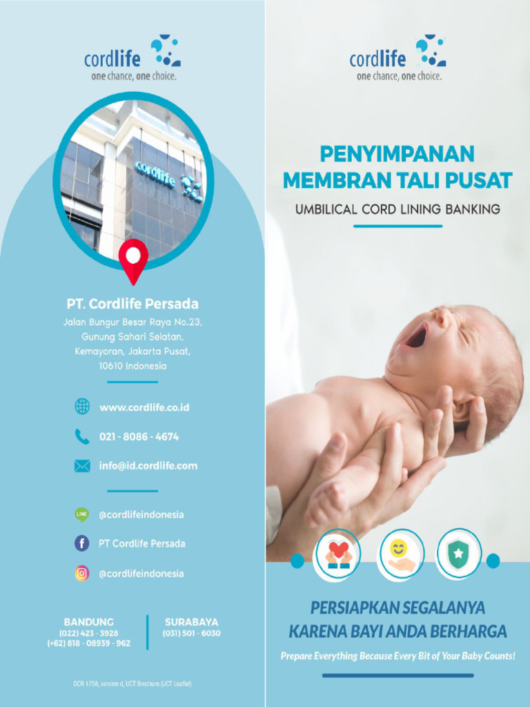 New Brochure Ucl | PDF