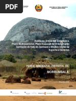 Modelo de NUIT Mozambique | PDF