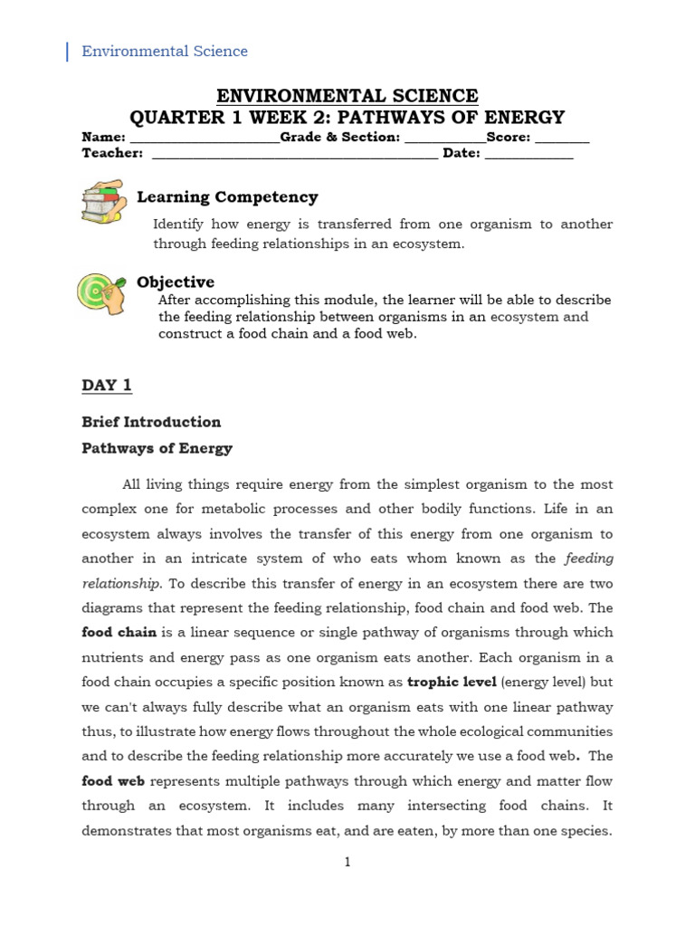 q1 w2 Envi-sci Pathways of Energy | PDF