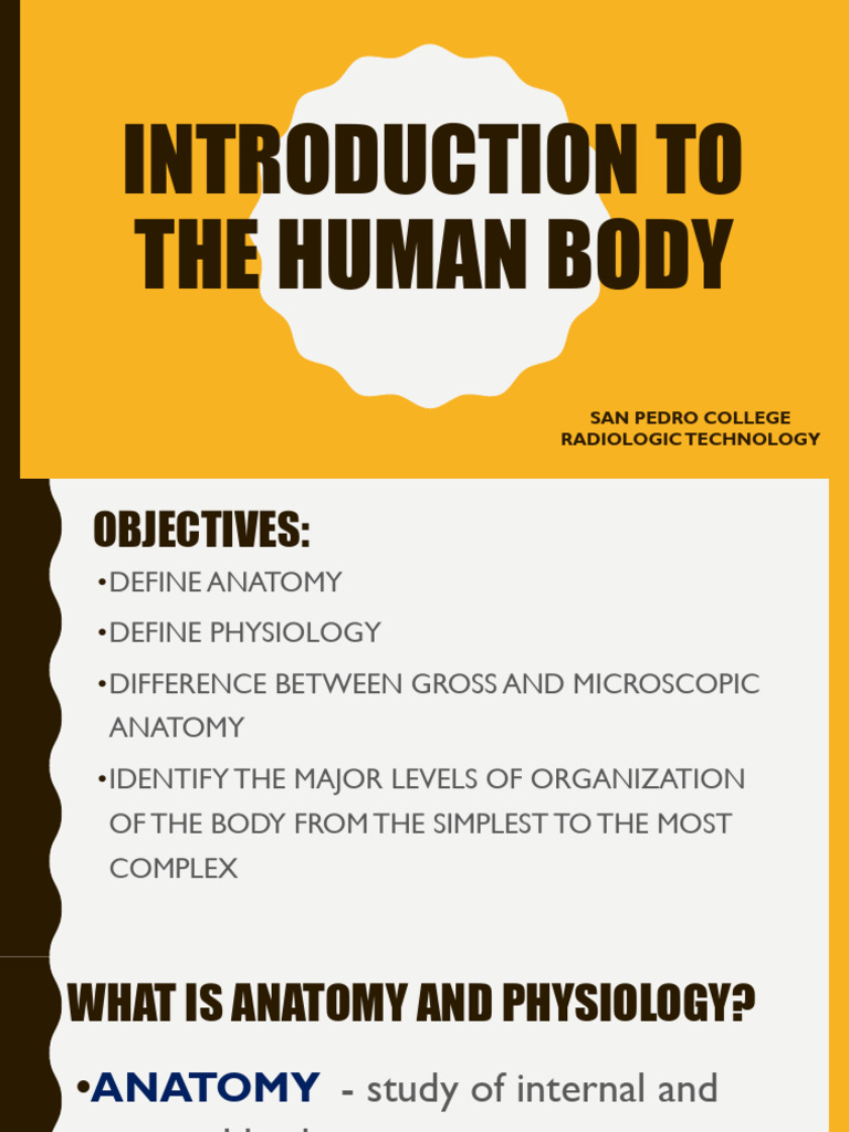 01 Introduction To Human Body - Final | PDF