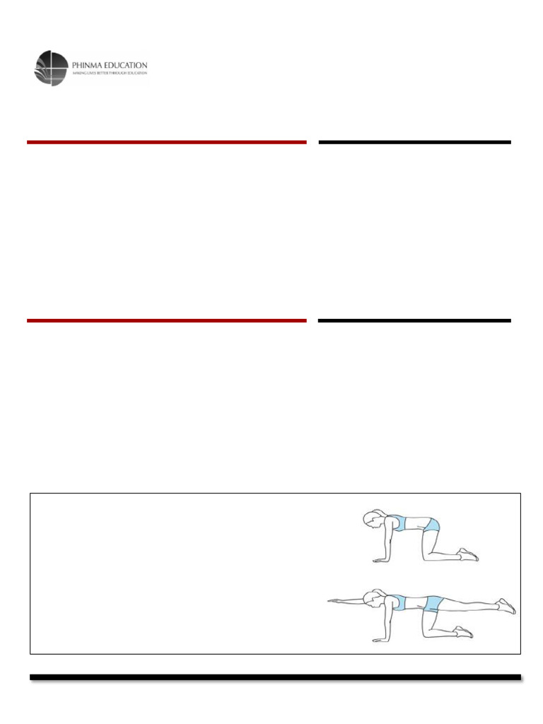 Ped 030 - Sas 3 | PDF