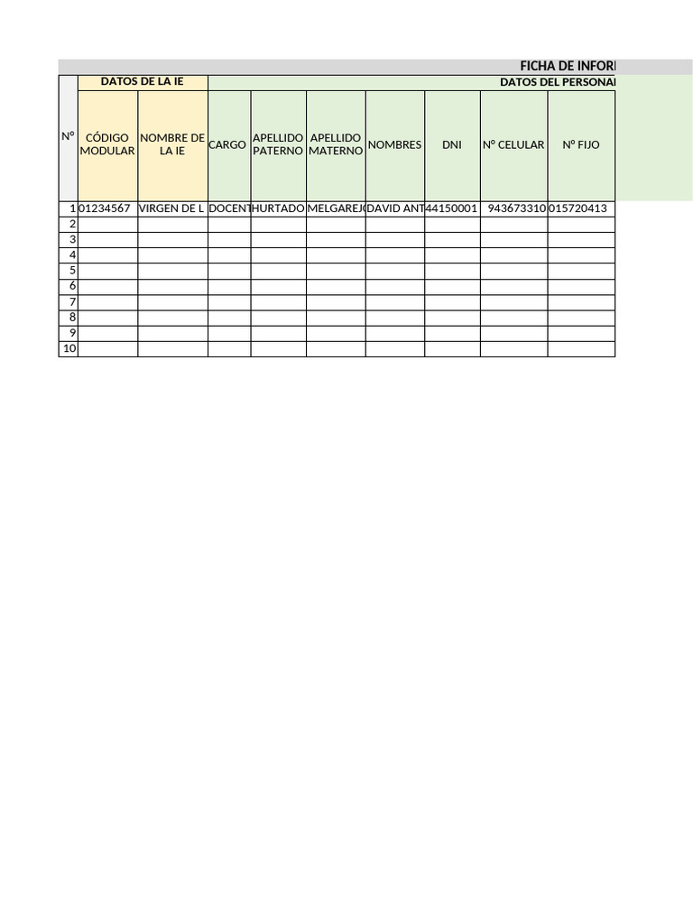 Fsi Condiciones Conectividad | PDF