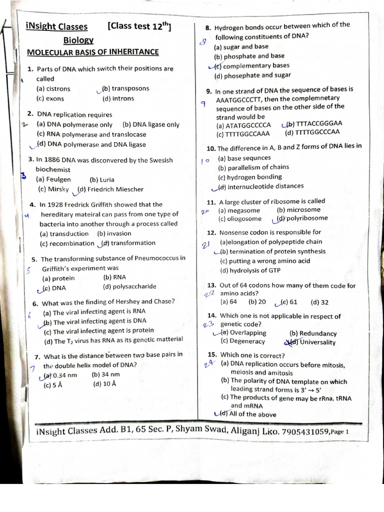 Molecular Basis of Inheritance, Test With Answer | PDF Molecular Basis of Inheritance, Test With Answer | PDF