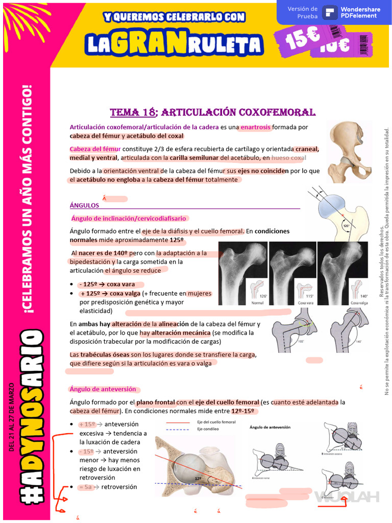 Tema 18 Articulacion Coxofemoral | PDF