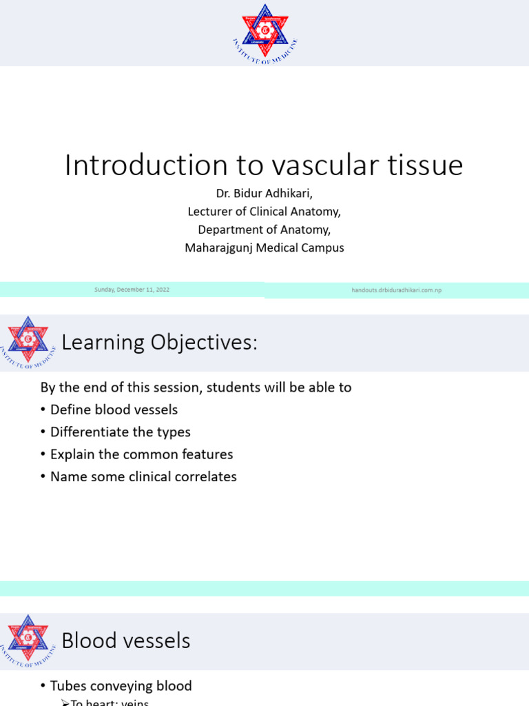 Vascular Tissue Intro | PDF