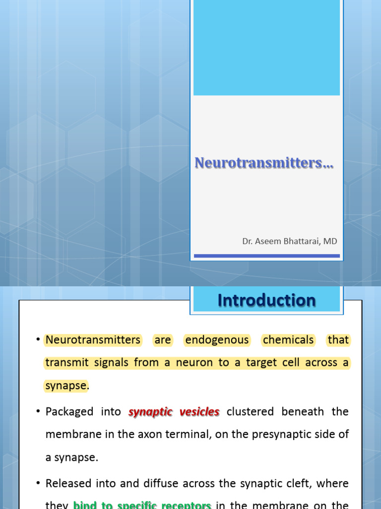 Neurotransmitter 1 | PDF