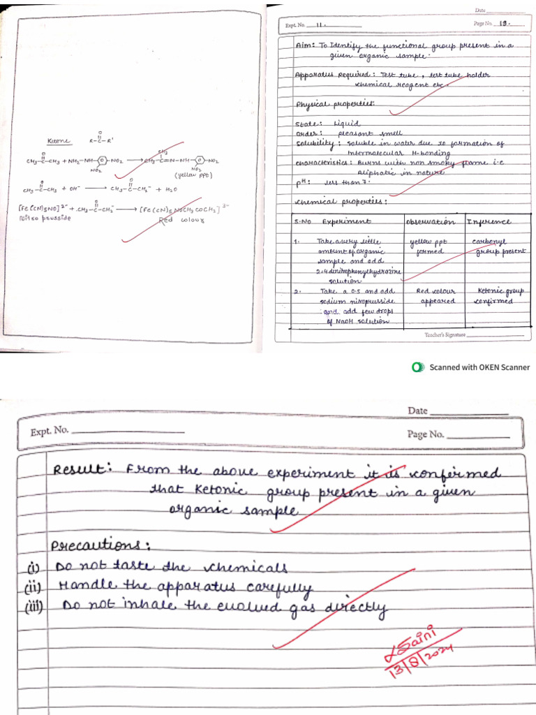 Experiment - 11 Chemistry Practical | PDF