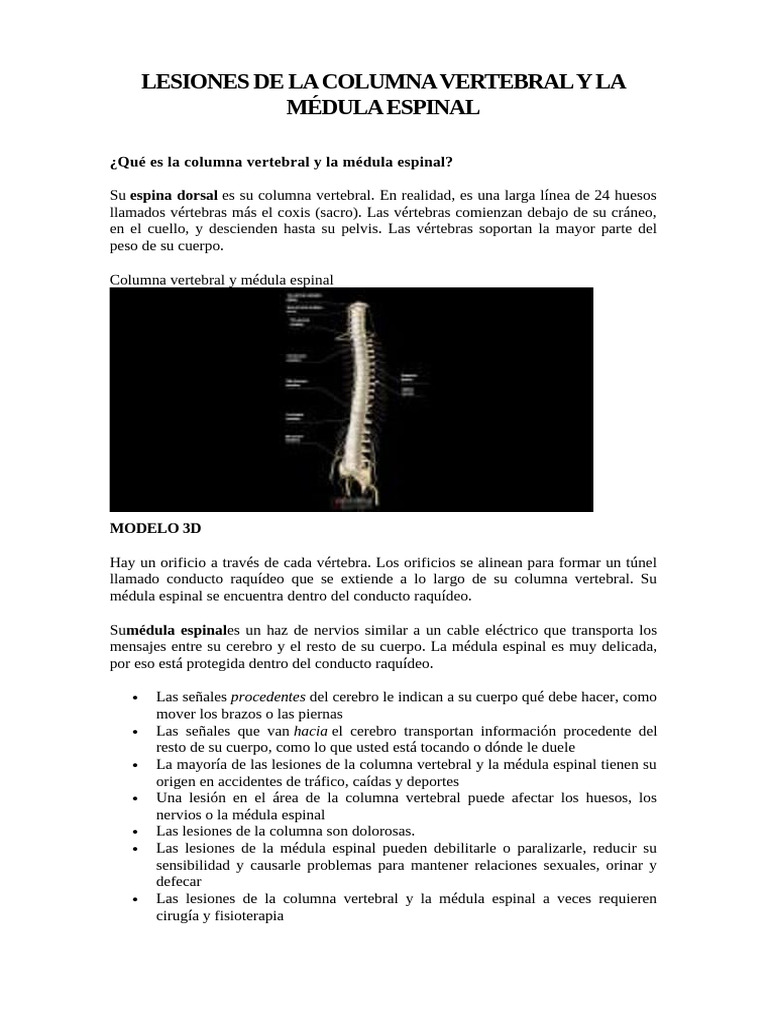 Lesiones de La Columna Vertebral y La Médula Espinal | PDF
