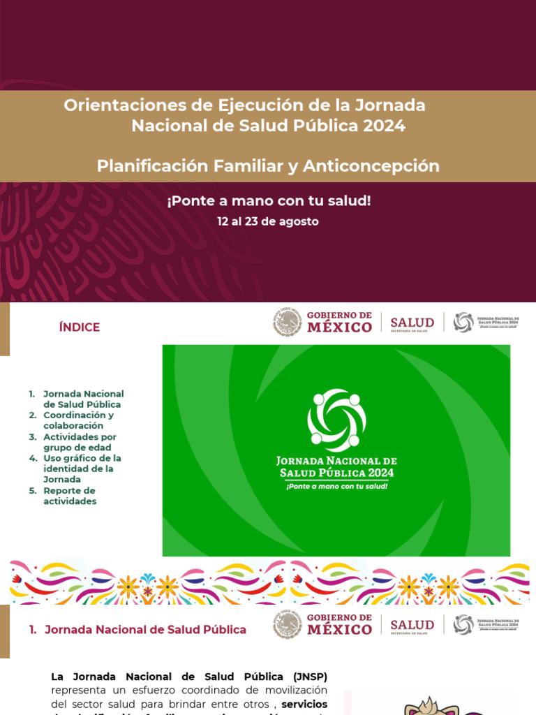 PFA - Orientaciones Ejecución JNSP 2024 | PDF