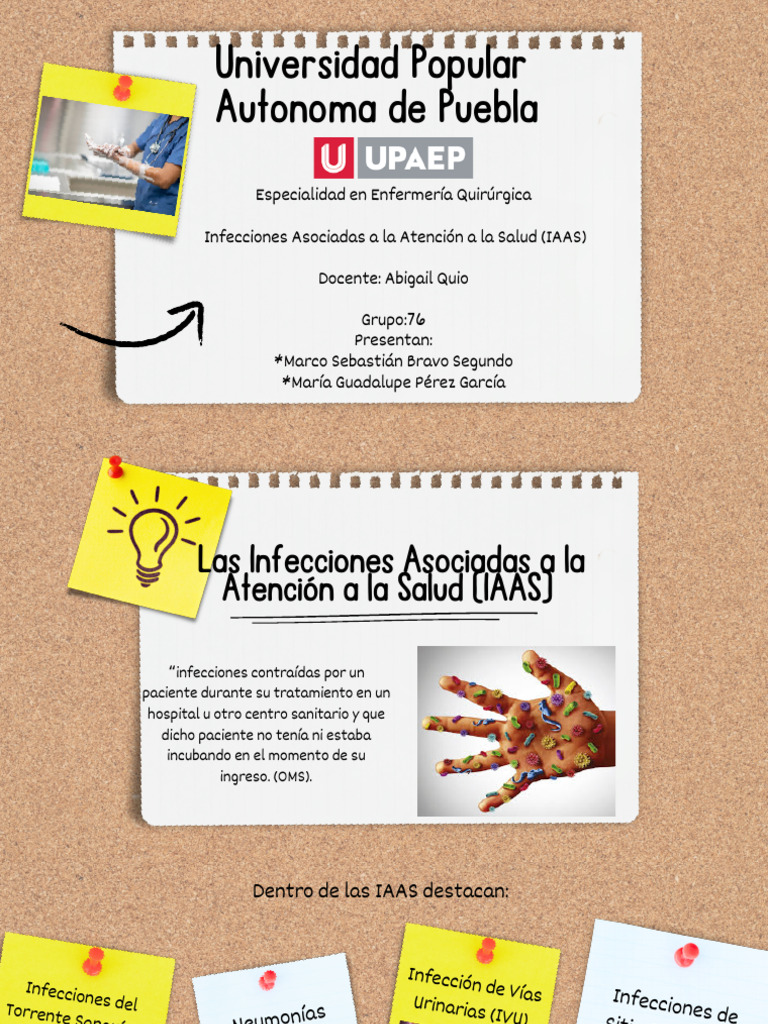 Presentación IAAS | PDF