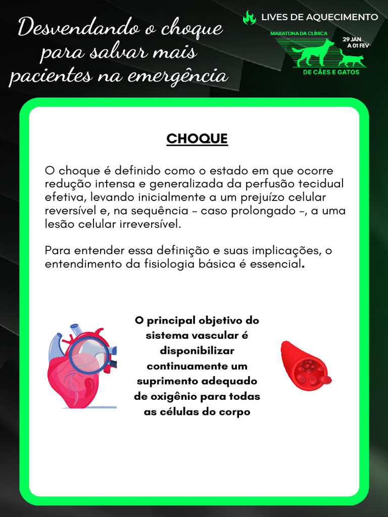 Choque | PDF
