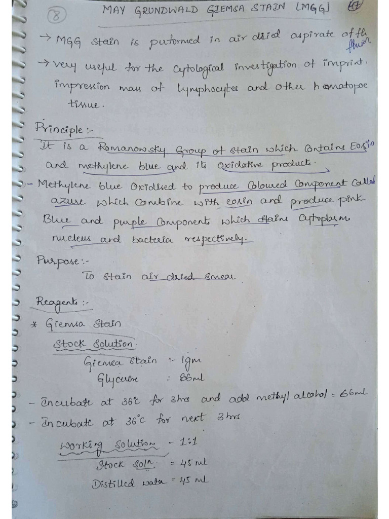 MGG and Shors Stain | PDF
