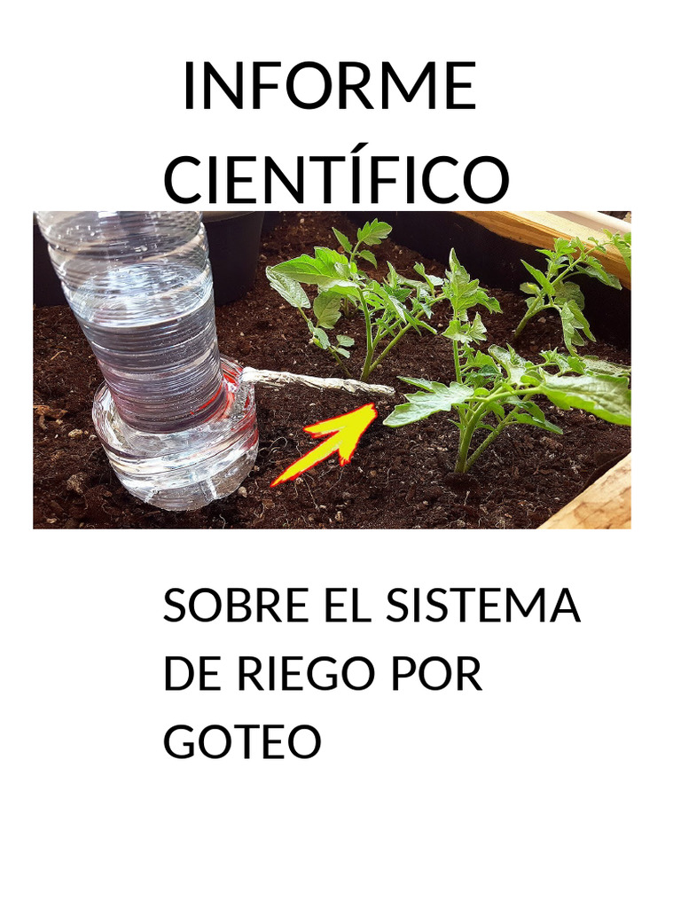 Informe Científico | PDF