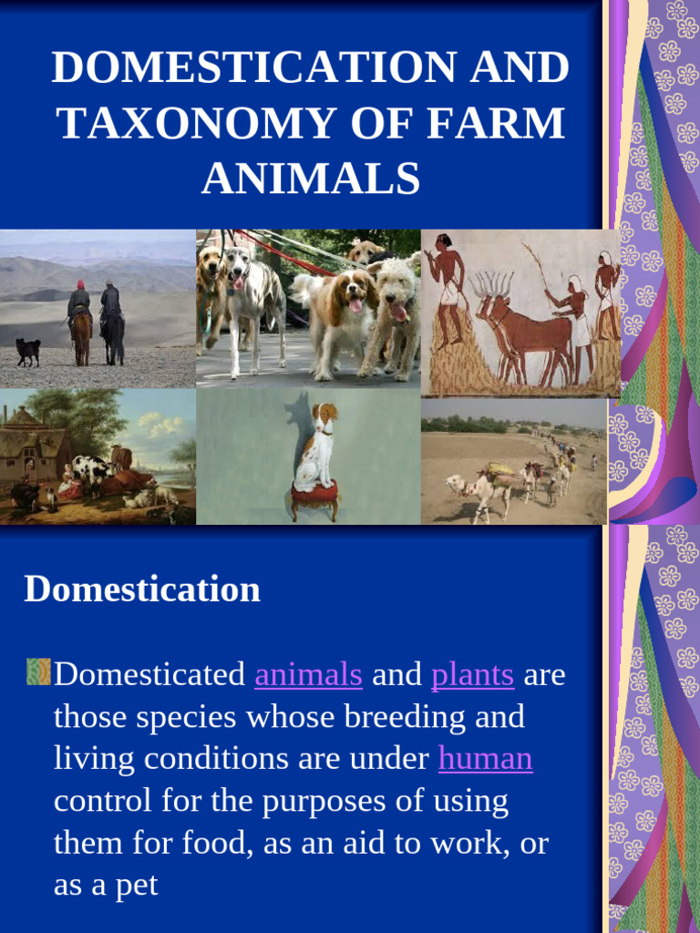 3 Domestication and Taxonomy of Animals | PDF