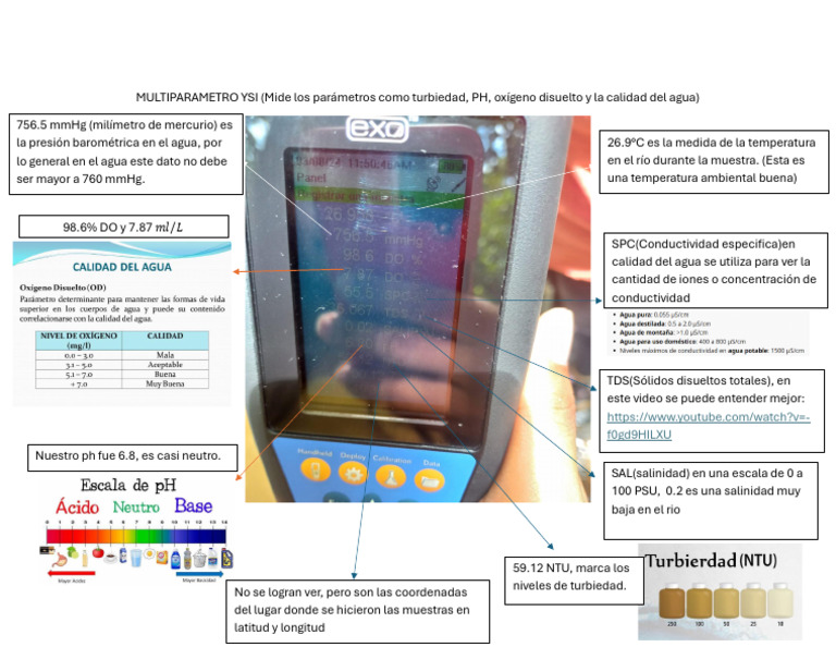 Multiparametro Ysi | PDF