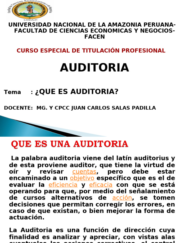 Qué Es La Auditoria Pdf