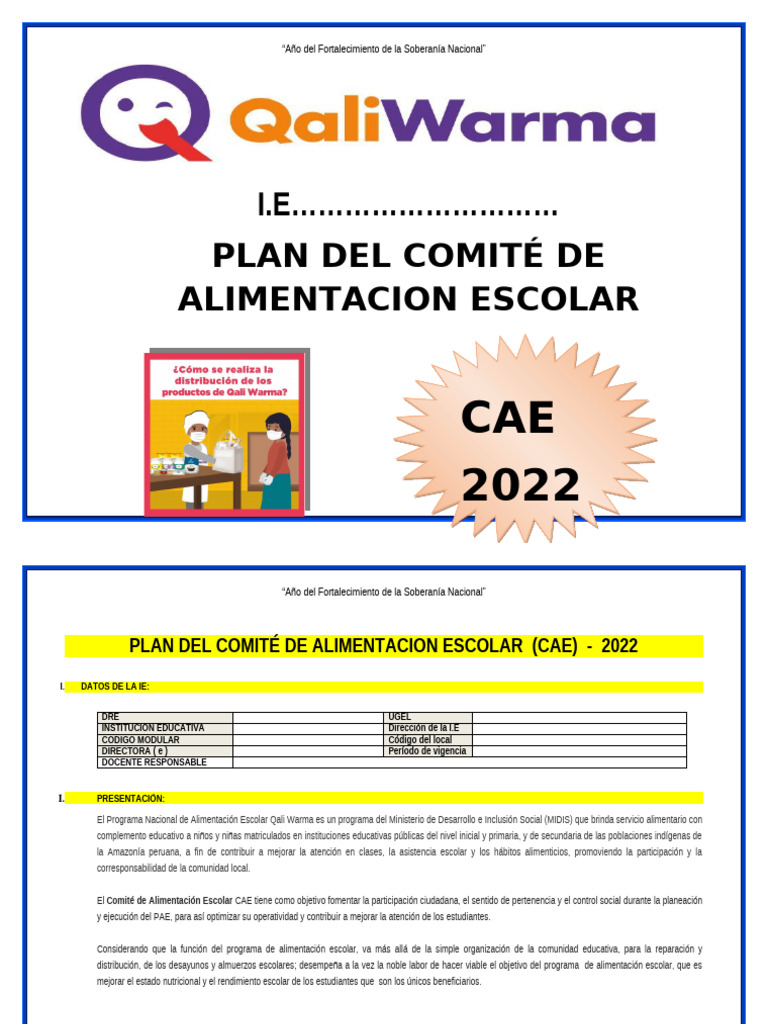 Plan de Cae-2022 | PDF