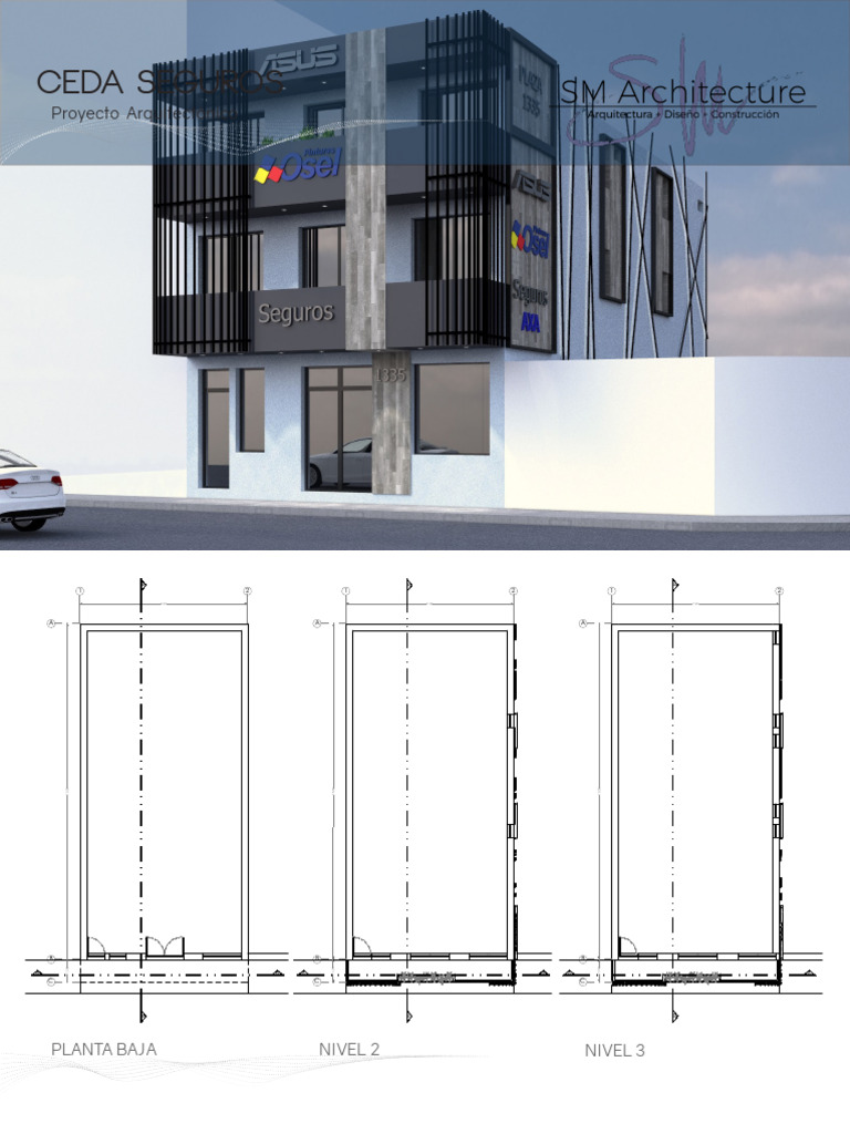 Ceda Seguros 2 | PDF
