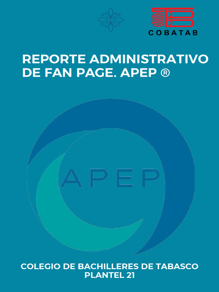 Reporte Administrativo de APEP Fan Páge | PDF