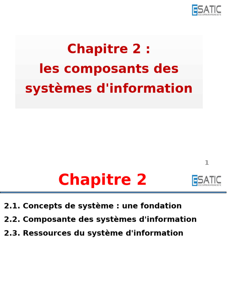 MANAGEMENT DES SI CHAPITRE2 Les Composants Des Systèmes D'information | PDF