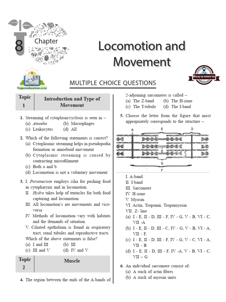Locomotion and Movement | PDF