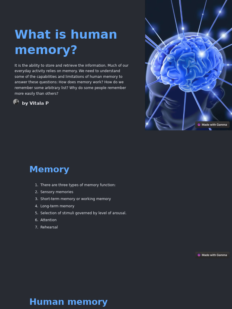 What Is Human Memory | PDF