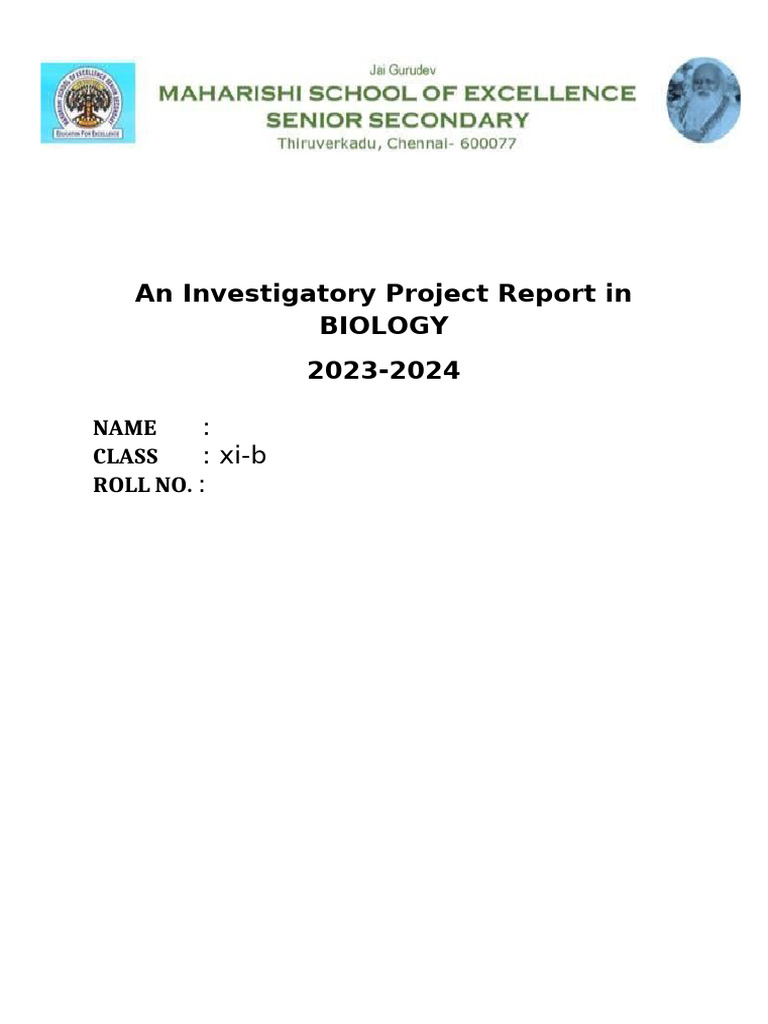 Class 11-IP - Front Page | PDF