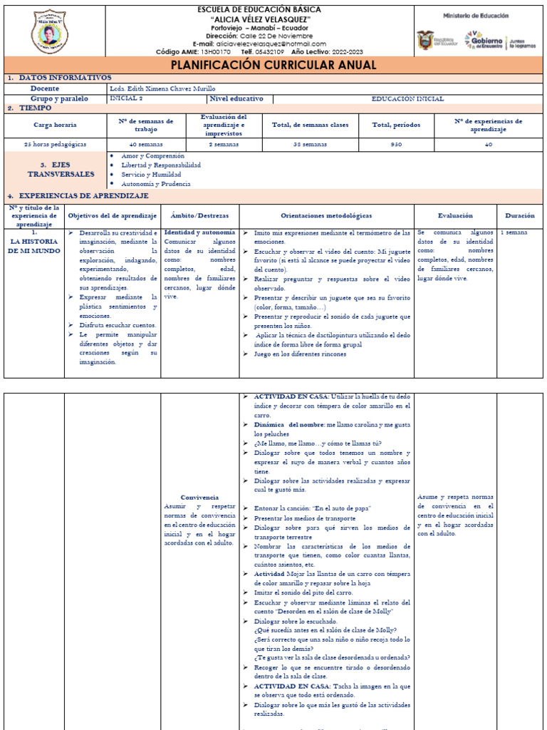 Plan Curricular Anual | PDF