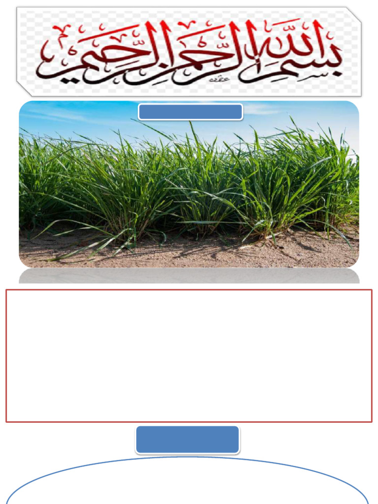 L-2 Importance of Rangelands and Range Management | PDF