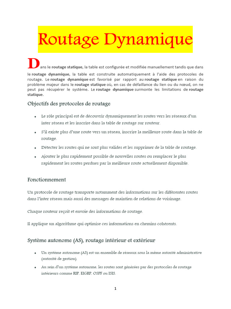 Routage Dynamique | PDF