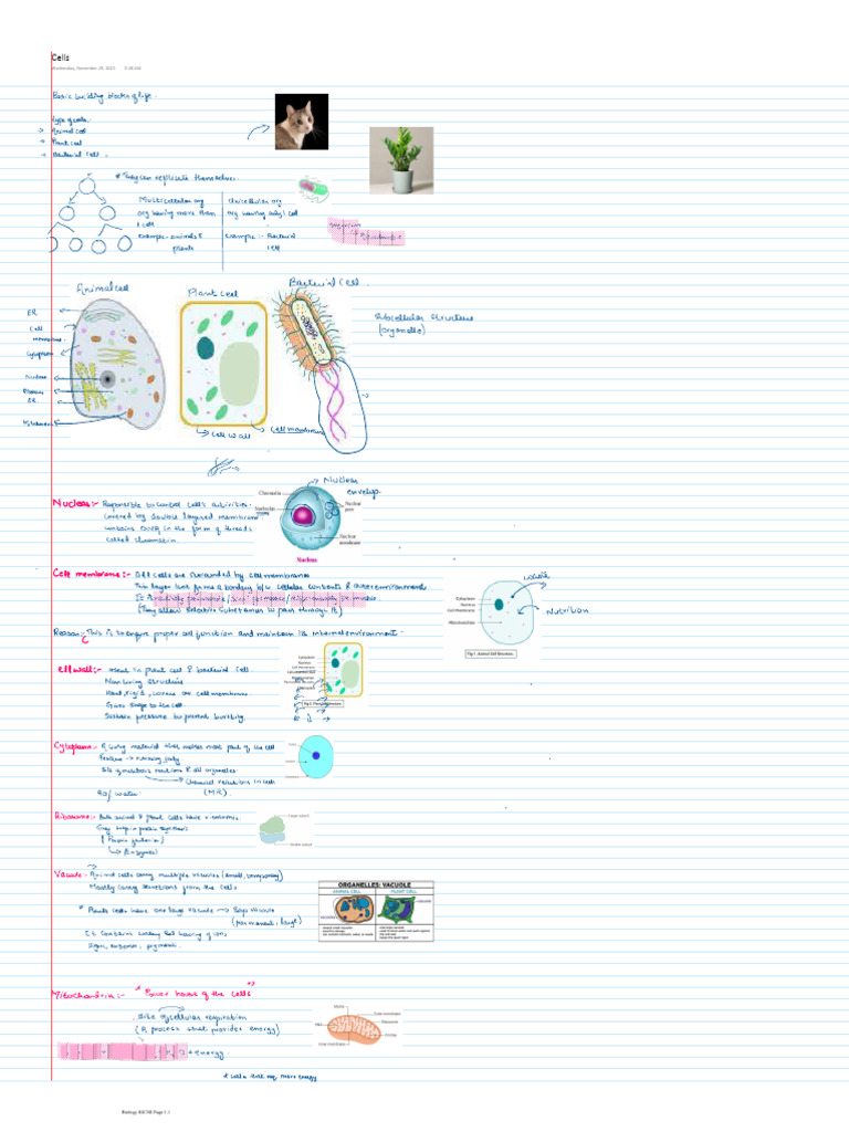 Cells Notes IGCSE Bio-1-4 | PDF