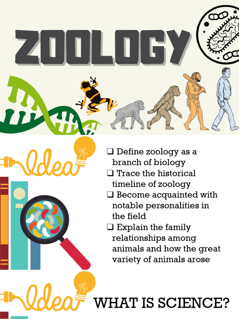 1.introduction To Zoology | PDF