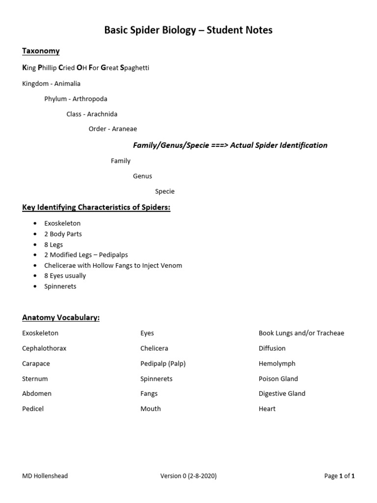 Student-Notes-for-Basic-Spider-Biology-Class | PDF