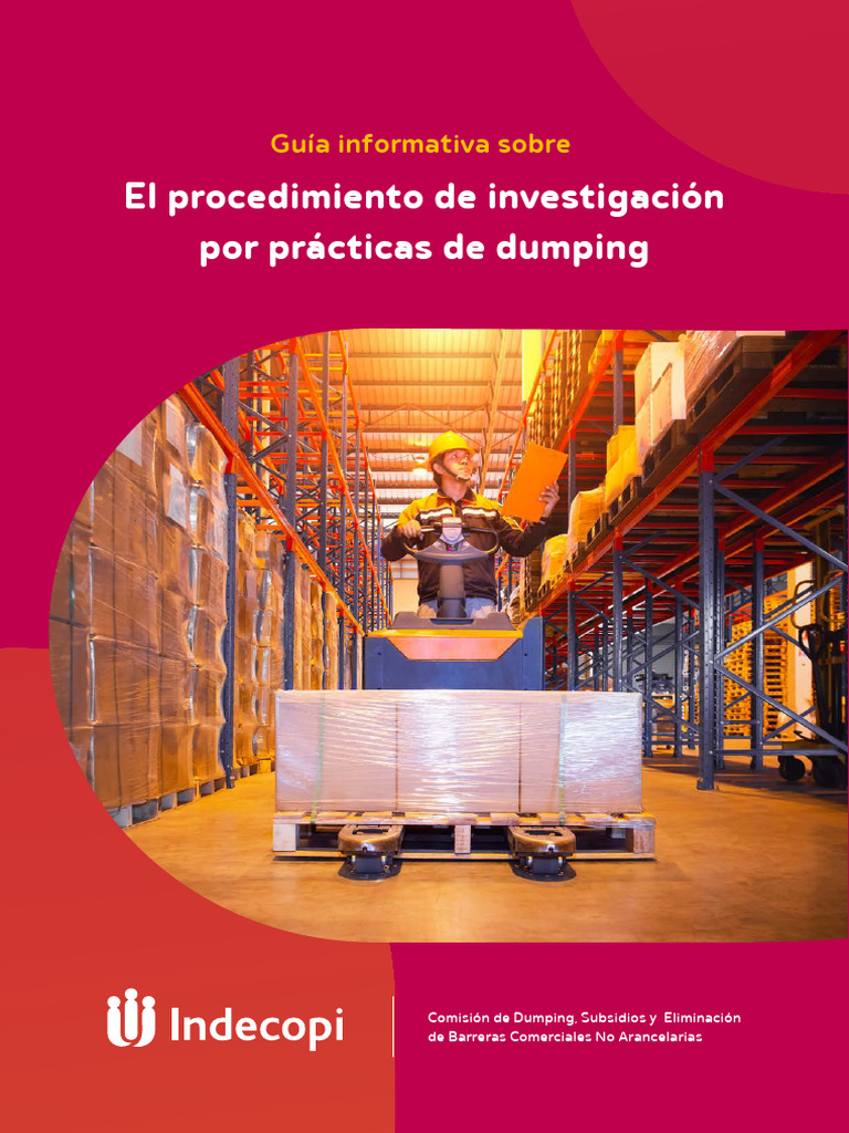 Guia Informativa Sobre El Procedimiento de Investigacion Por Practicas de Dumping | PDF