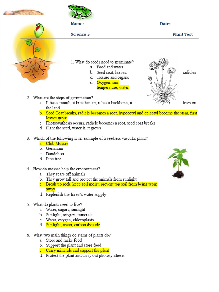 Name: Date: Science 5 Plant Test | PDF
