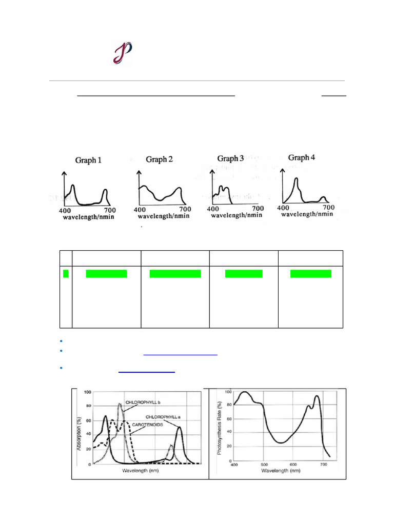 24 H2 Photosynthesis Tut Ans | PDF