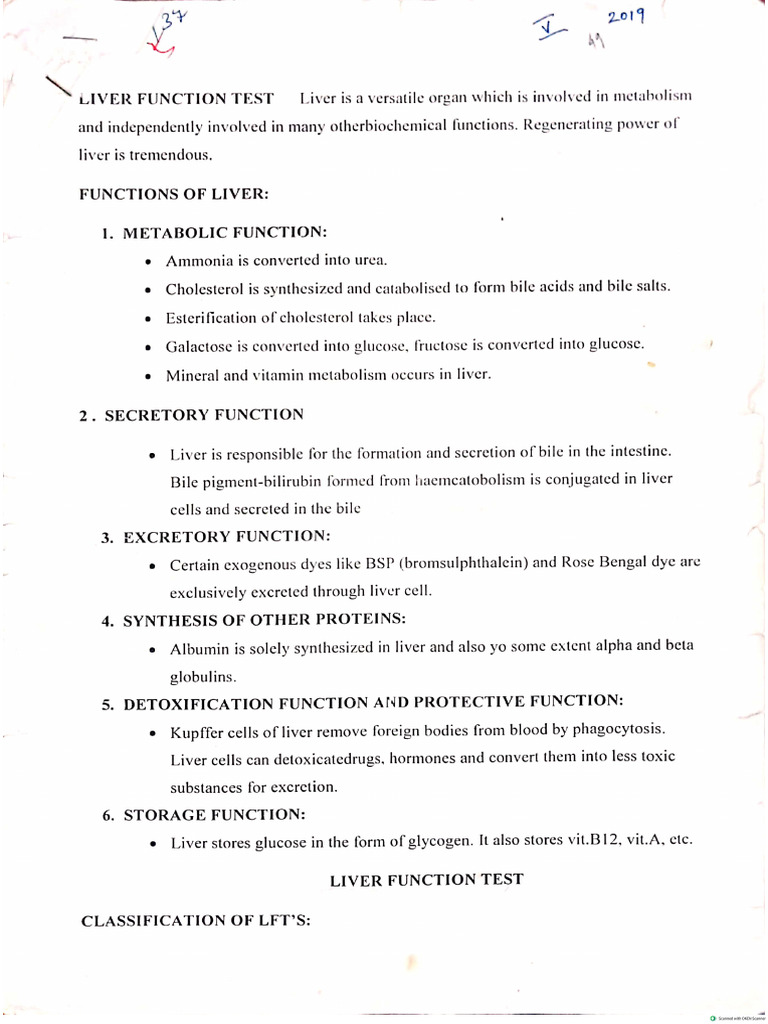 Liver Function Test | PDF